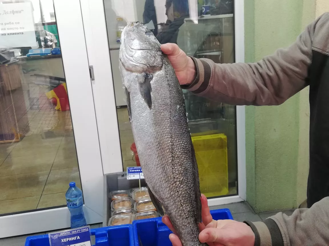 Черноморски лаврак и рак- хит на бургаския пазар /снимки/